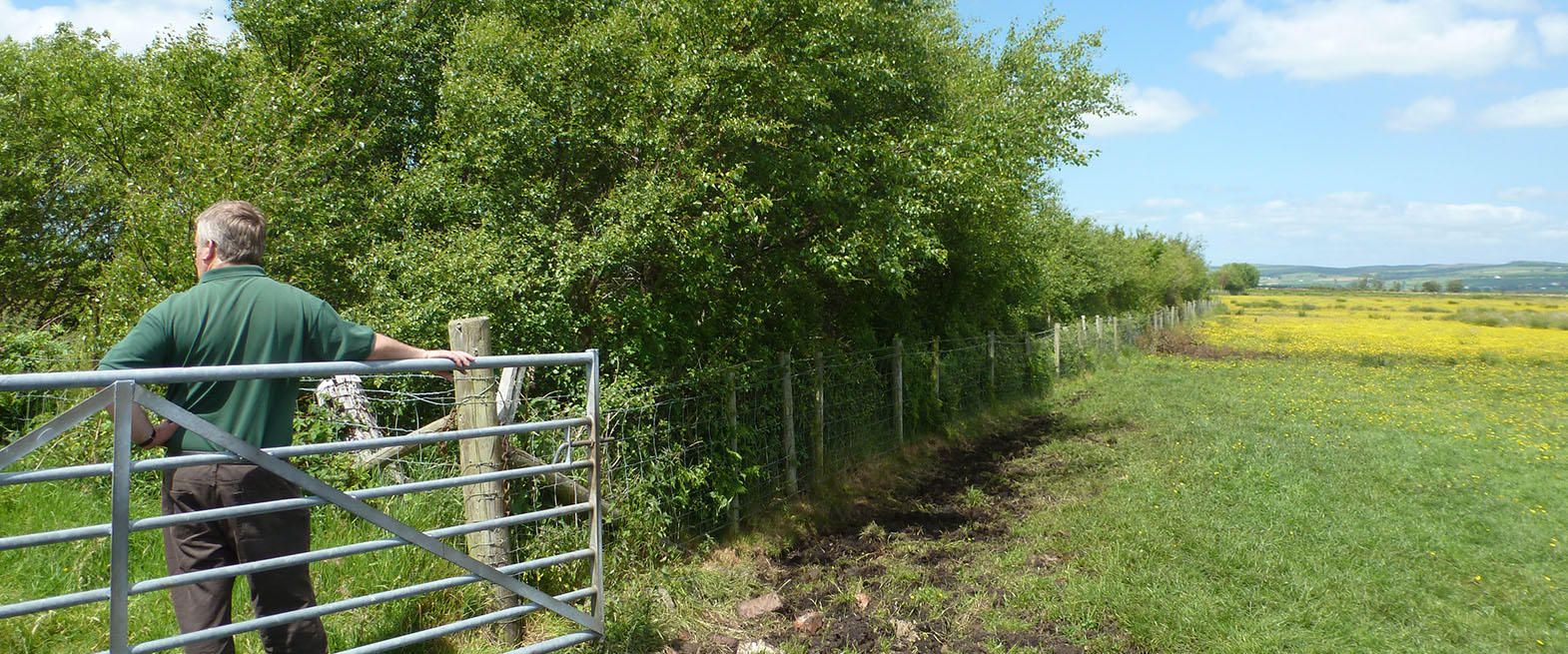 Rural Services - Butler Land Management